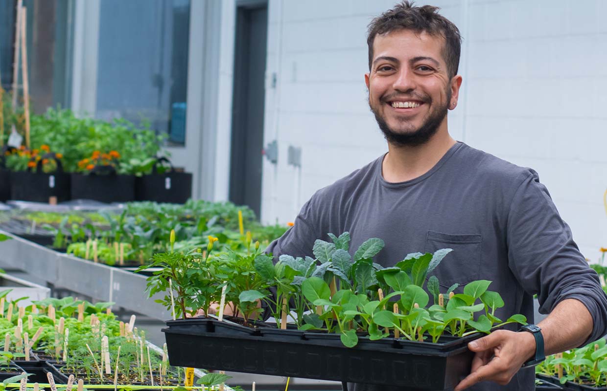 Community Development - The Stop Community Food Centre | Power ...